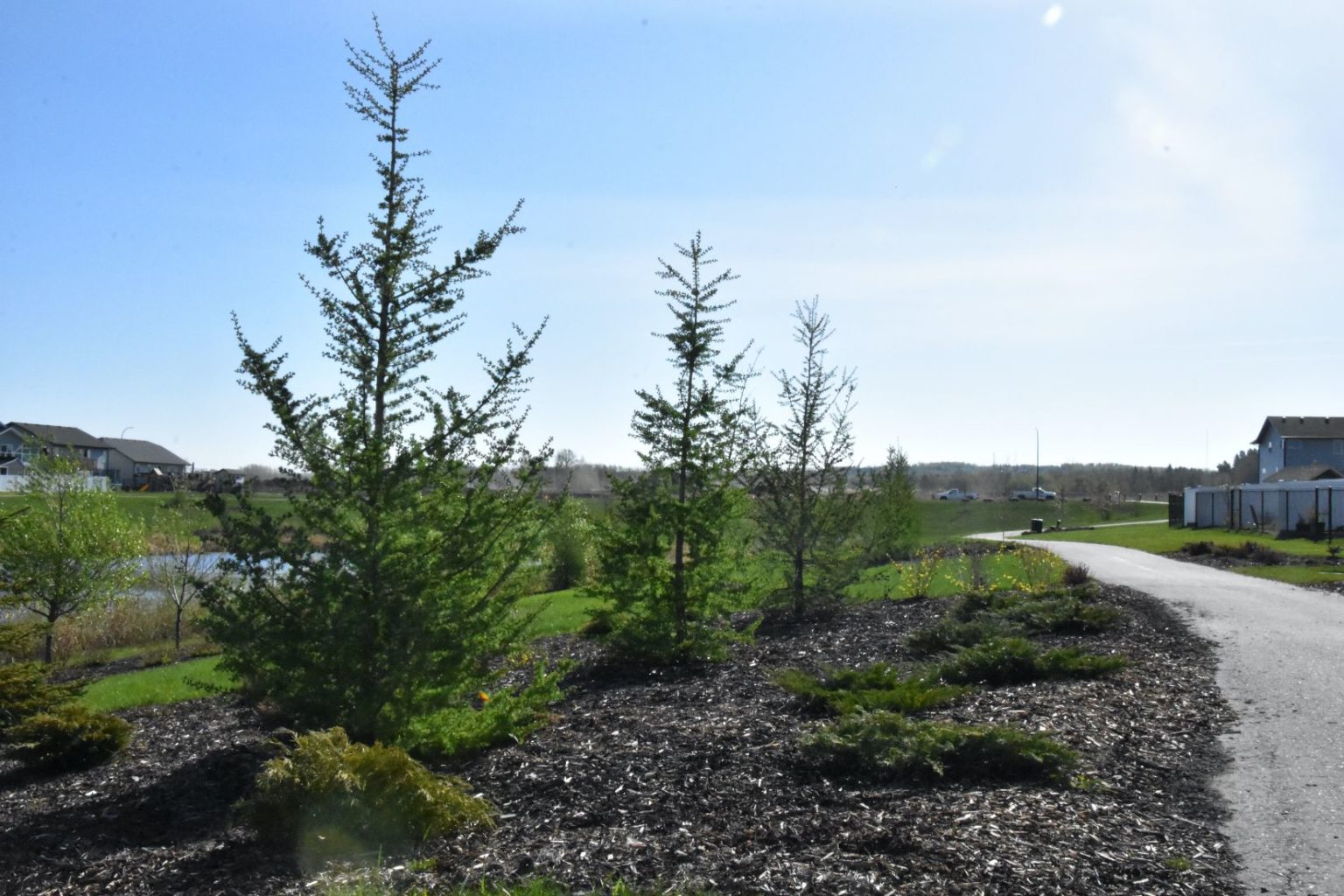 Contact Us - Parkland Nursery and Landscape Services Ltd.